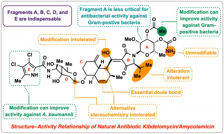 Publication – Chao Li Lab