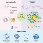 Publication – Chao Li Lab